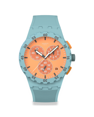 Swatch | Boutique dos Relógios
